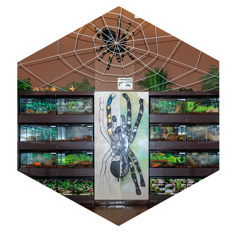 Exhibits - Insectropolis